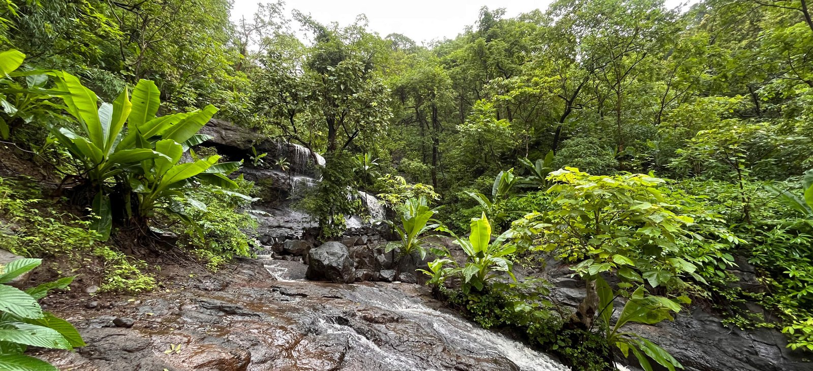 Of Fields & Forests (An Easy Monsoon Trail) - Vagabond Experiences